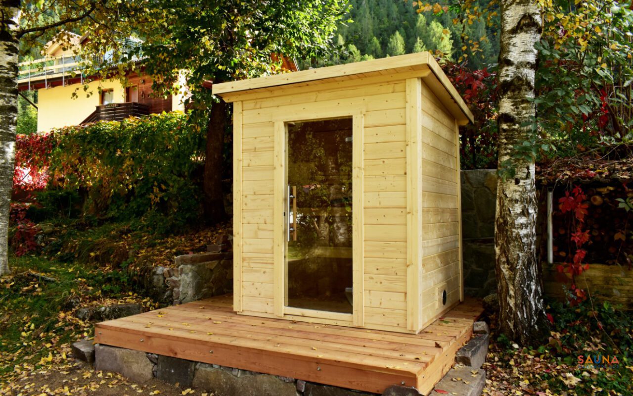 SaunaLife G2 Small Outdoor Sauna Kit With 2 Bench Levels ...